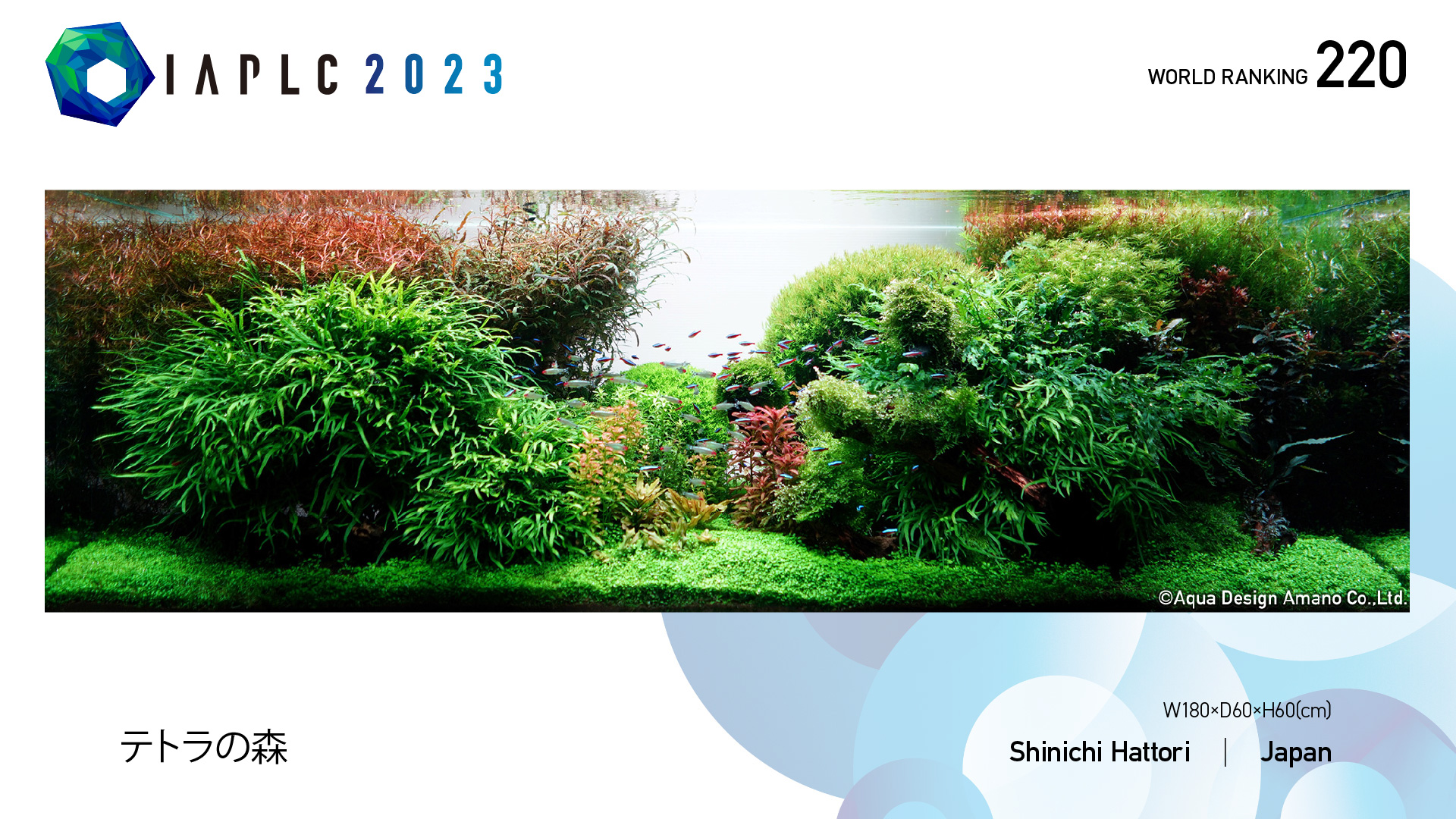 IAPLC - ONLINE APPLICATION