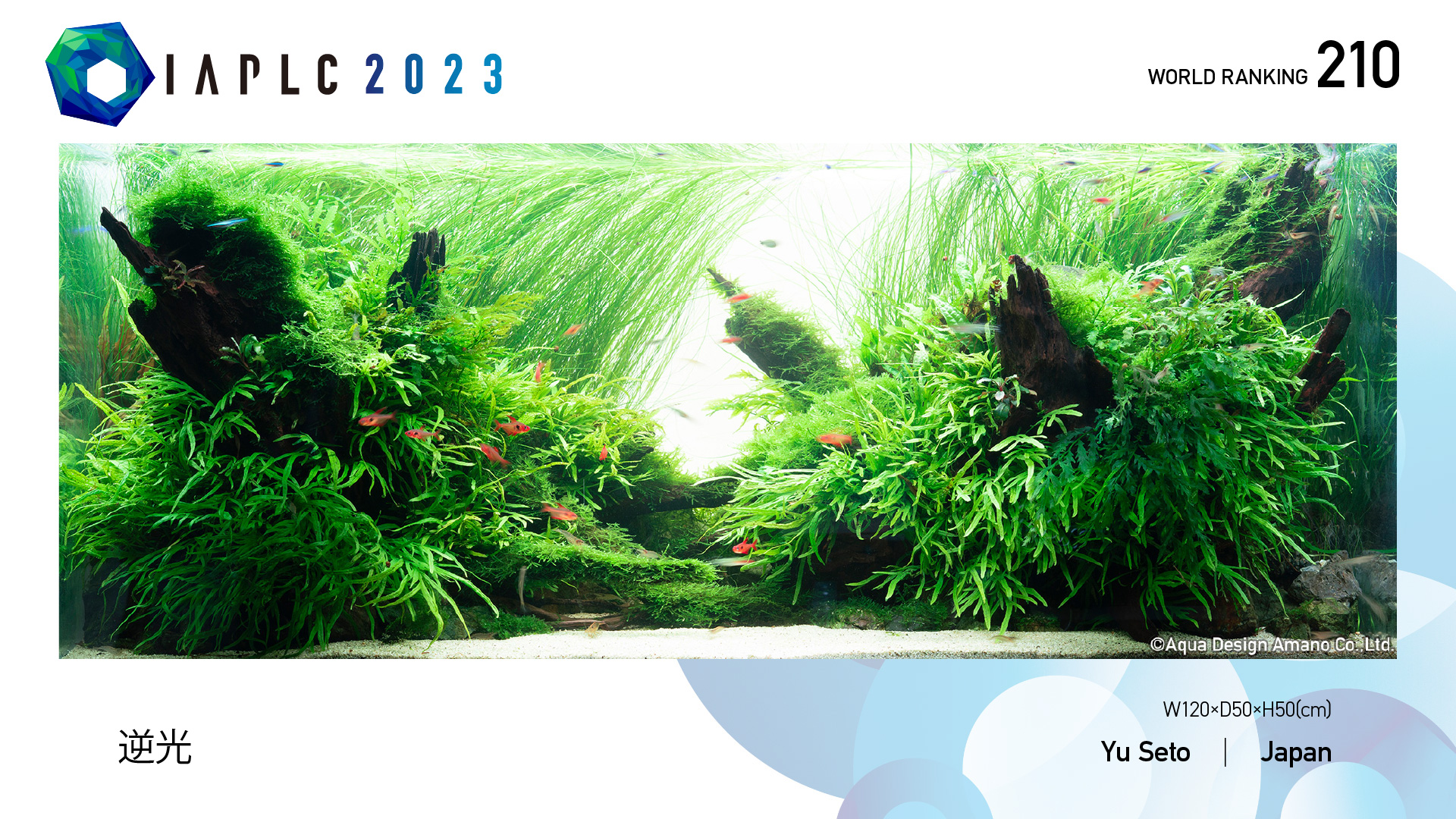 IAPLC - ONLINE APPLICATION