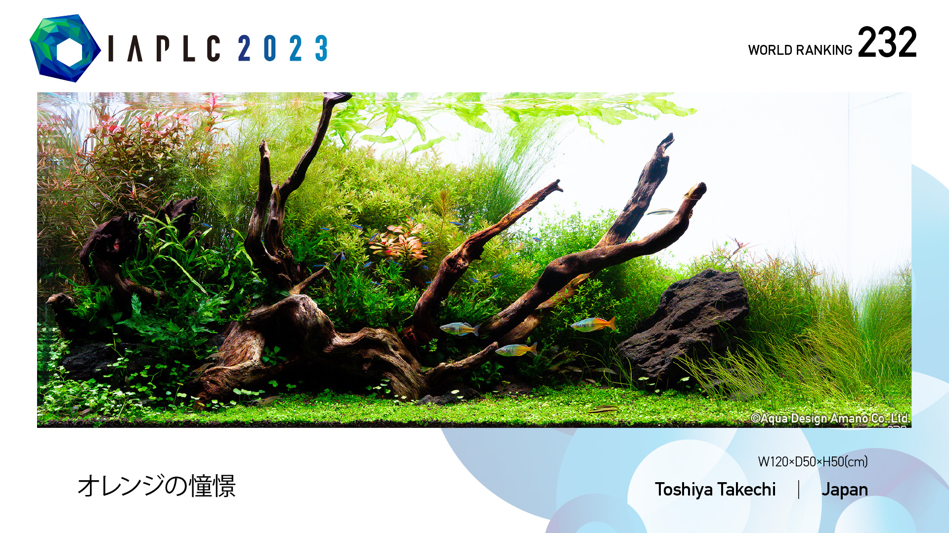 IAPLC - ONLINE APPLICATION