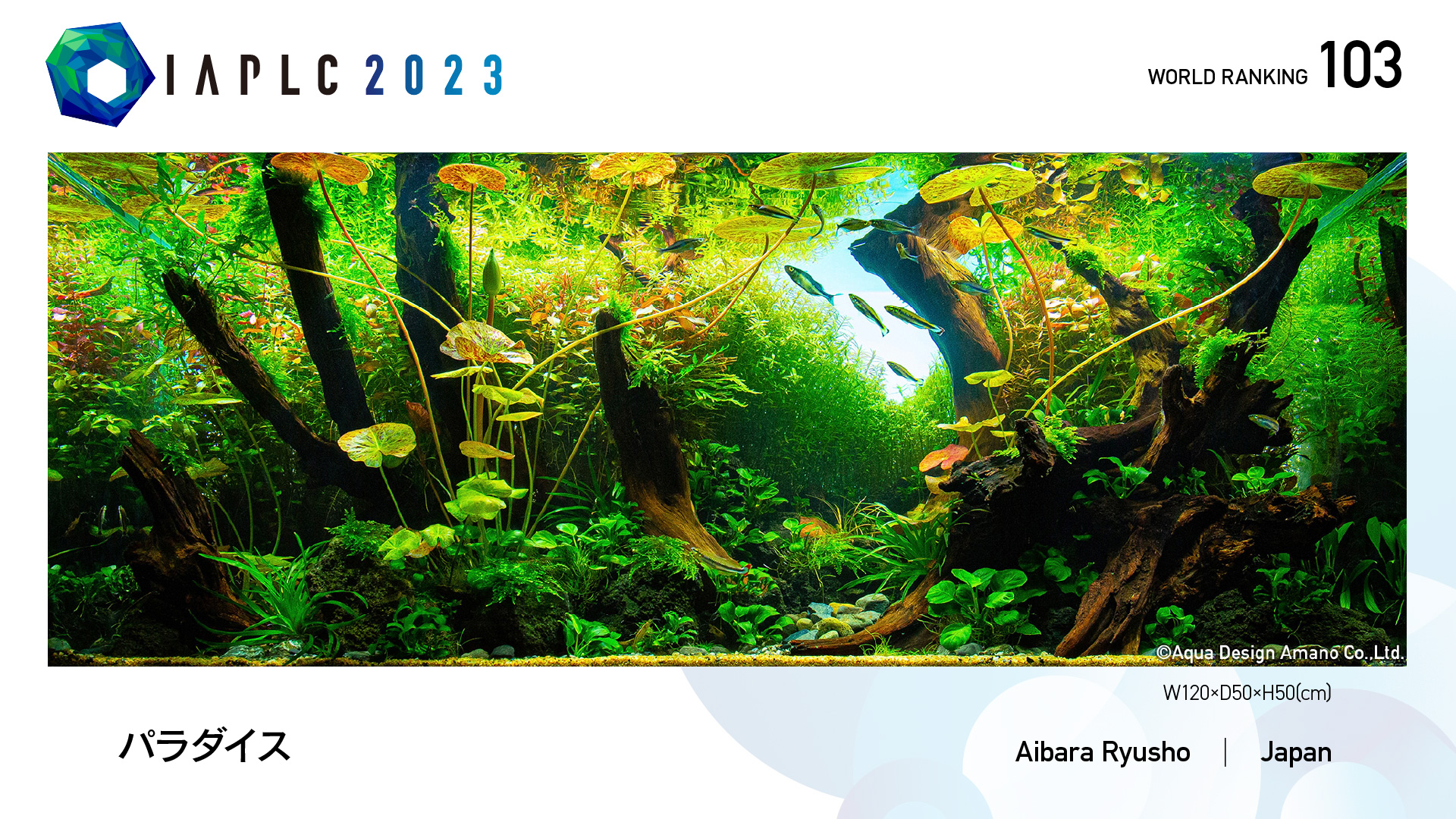 IAPLC - ONLINE APPLICATION