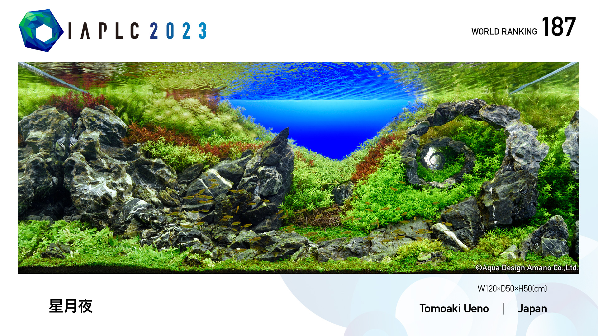 IAPLC - ONLINE APPLICATION