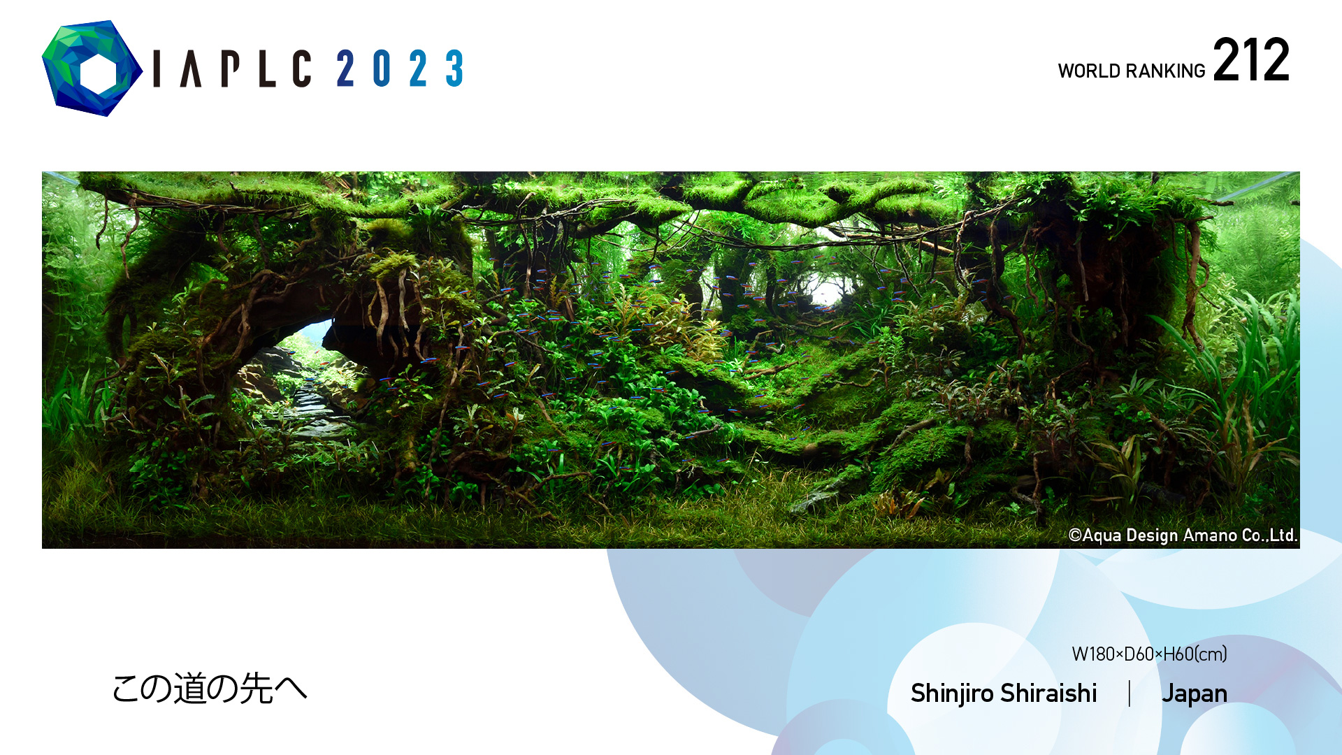 IAPLC - ONLINE APPLICATION