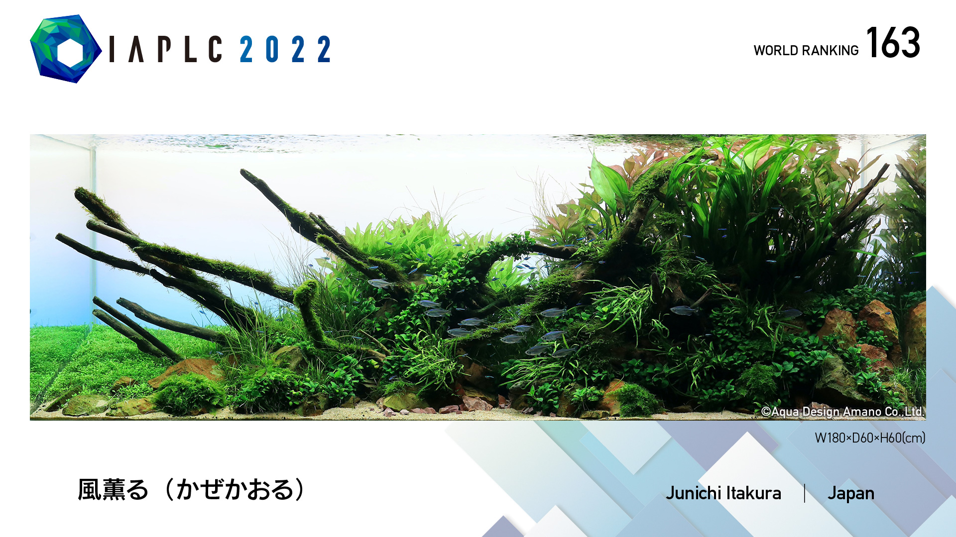 IAPLC - ONLINE APPLICATION