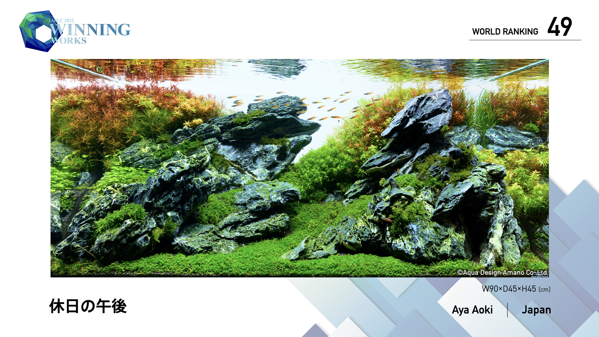 IAPLC - ONLINE APPLICATION