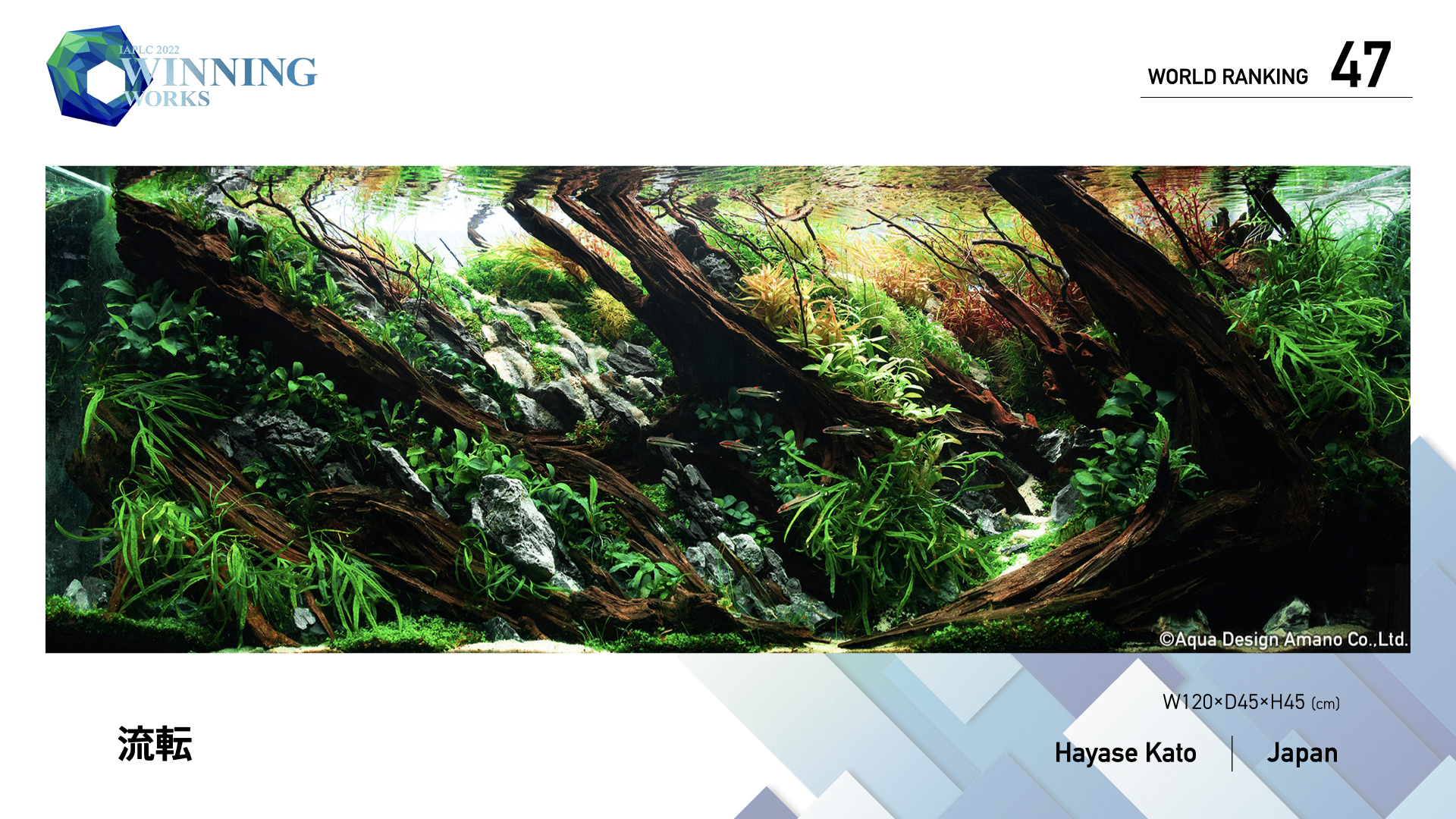 IAPLC - ONLINE APPLICATION