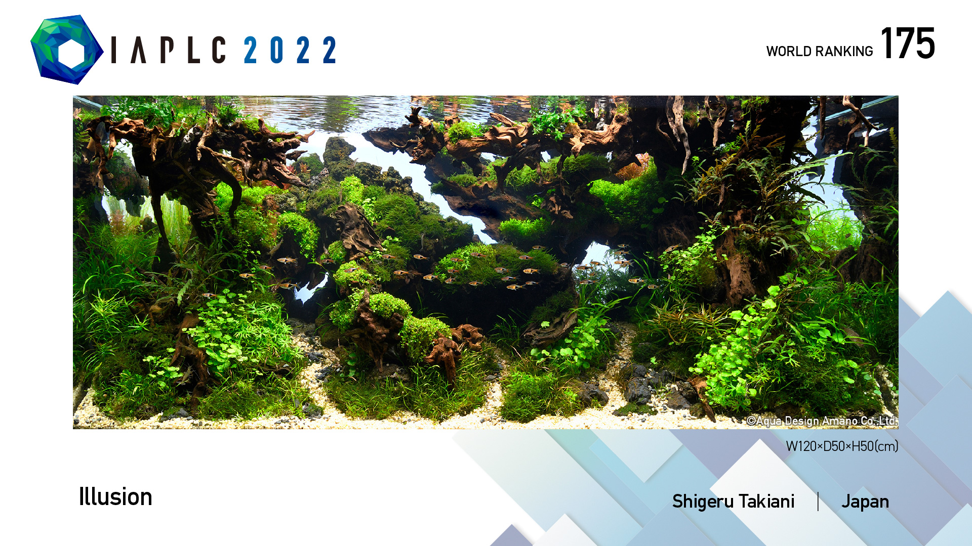 IAPLC - ONLINE APPLICATION