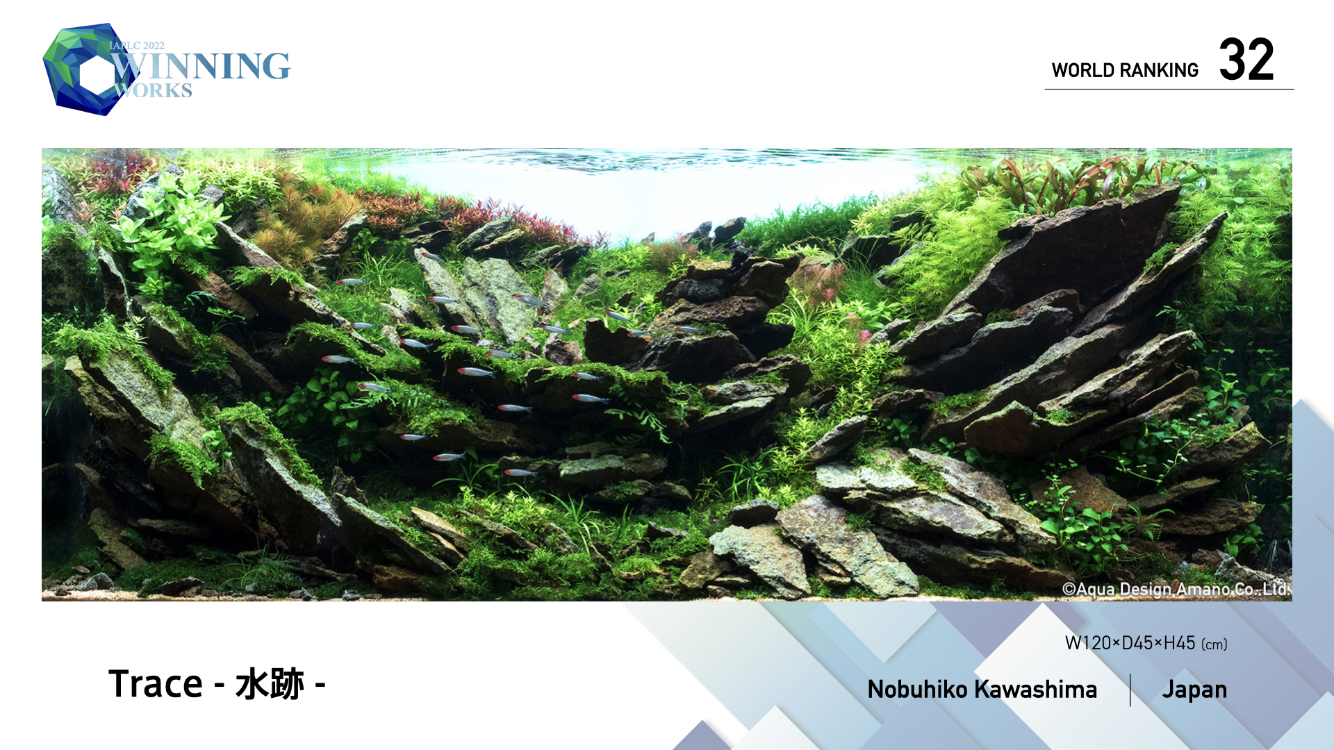 IAPLC - ONLINE APPLICATION