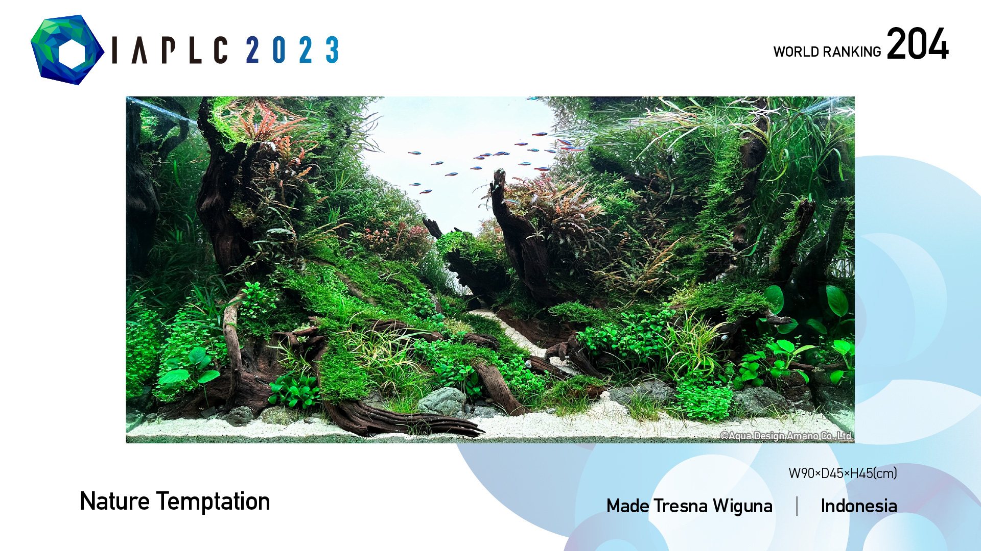 IAPLC - ONLINE APPLICATION