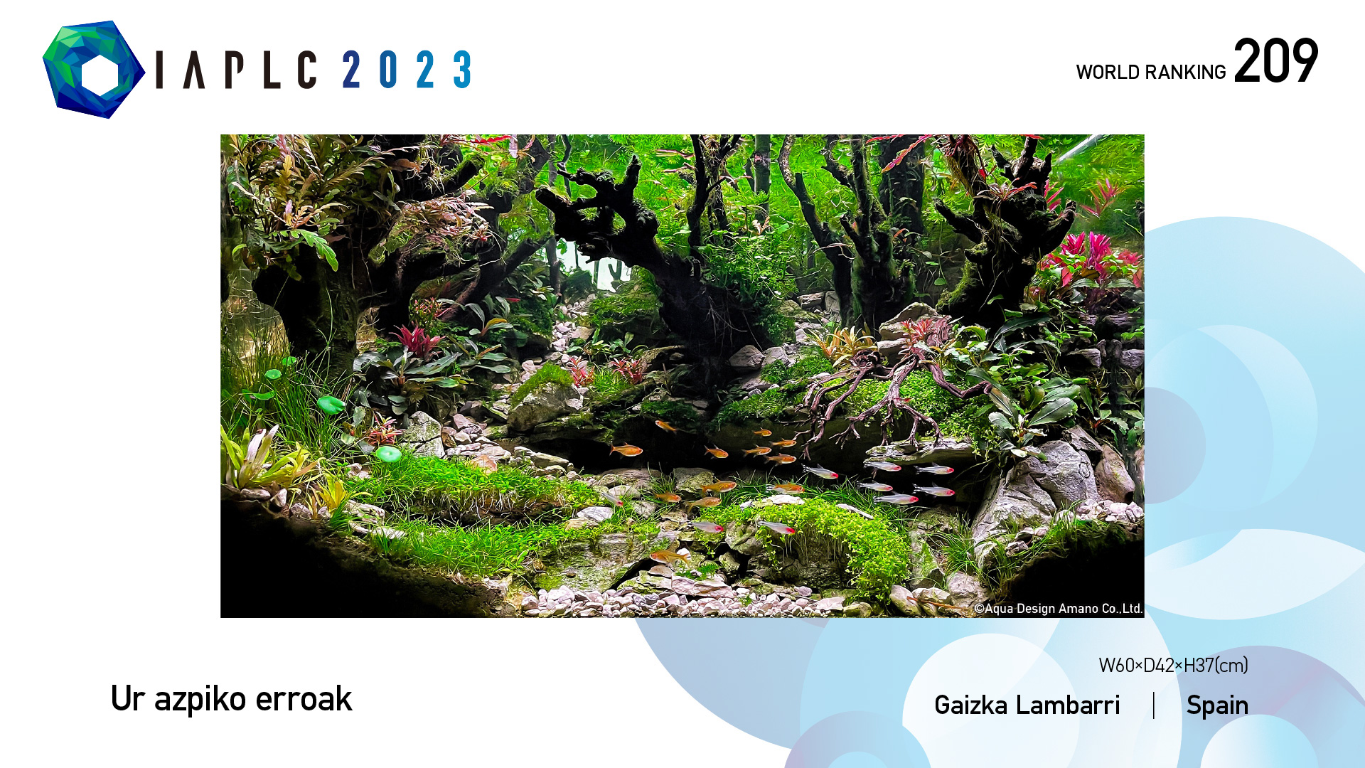 IAPLC - ONLINE APPLICATION