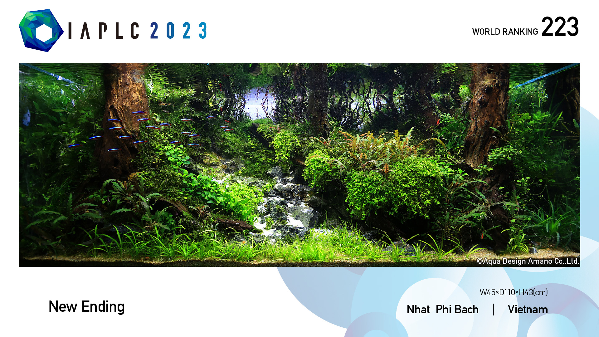 IAPLC - ONLINE APPLICATION