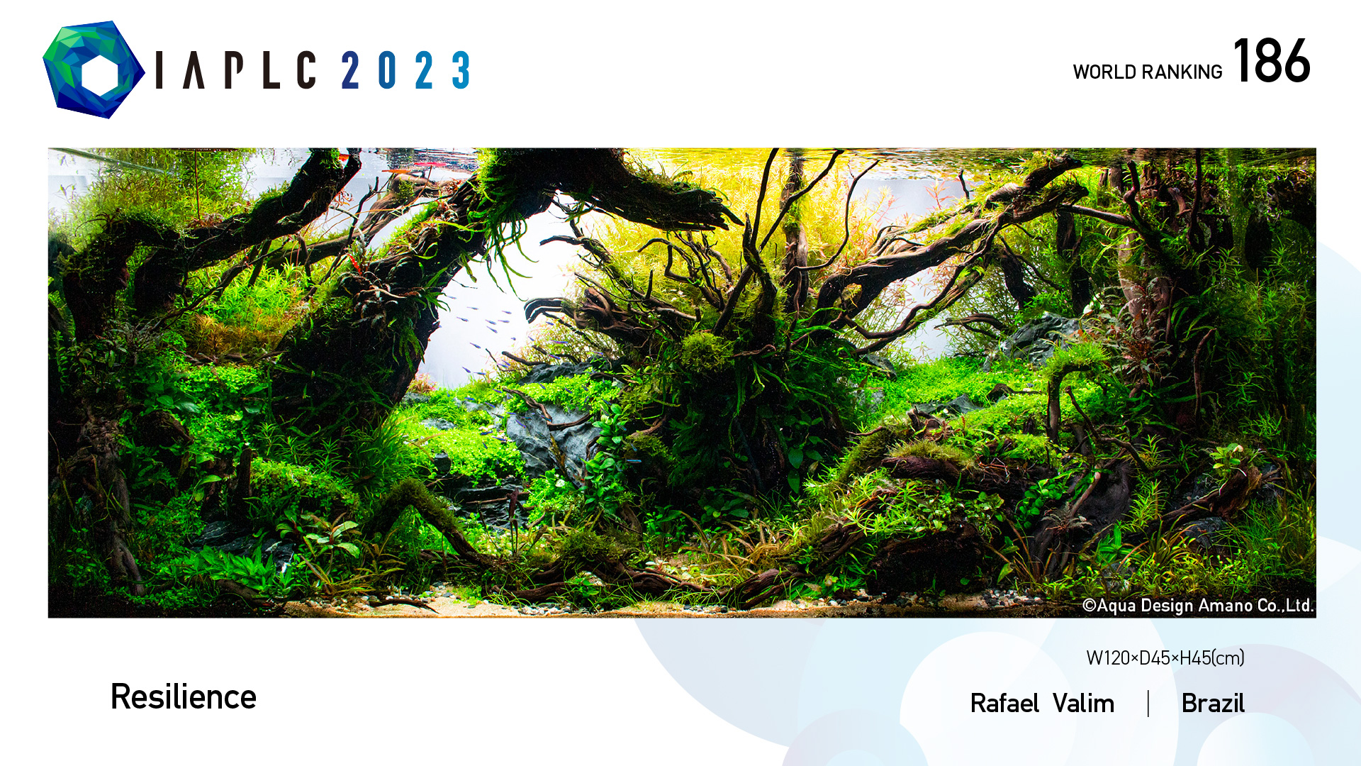 IAPLC - ONLINE APPLICATION