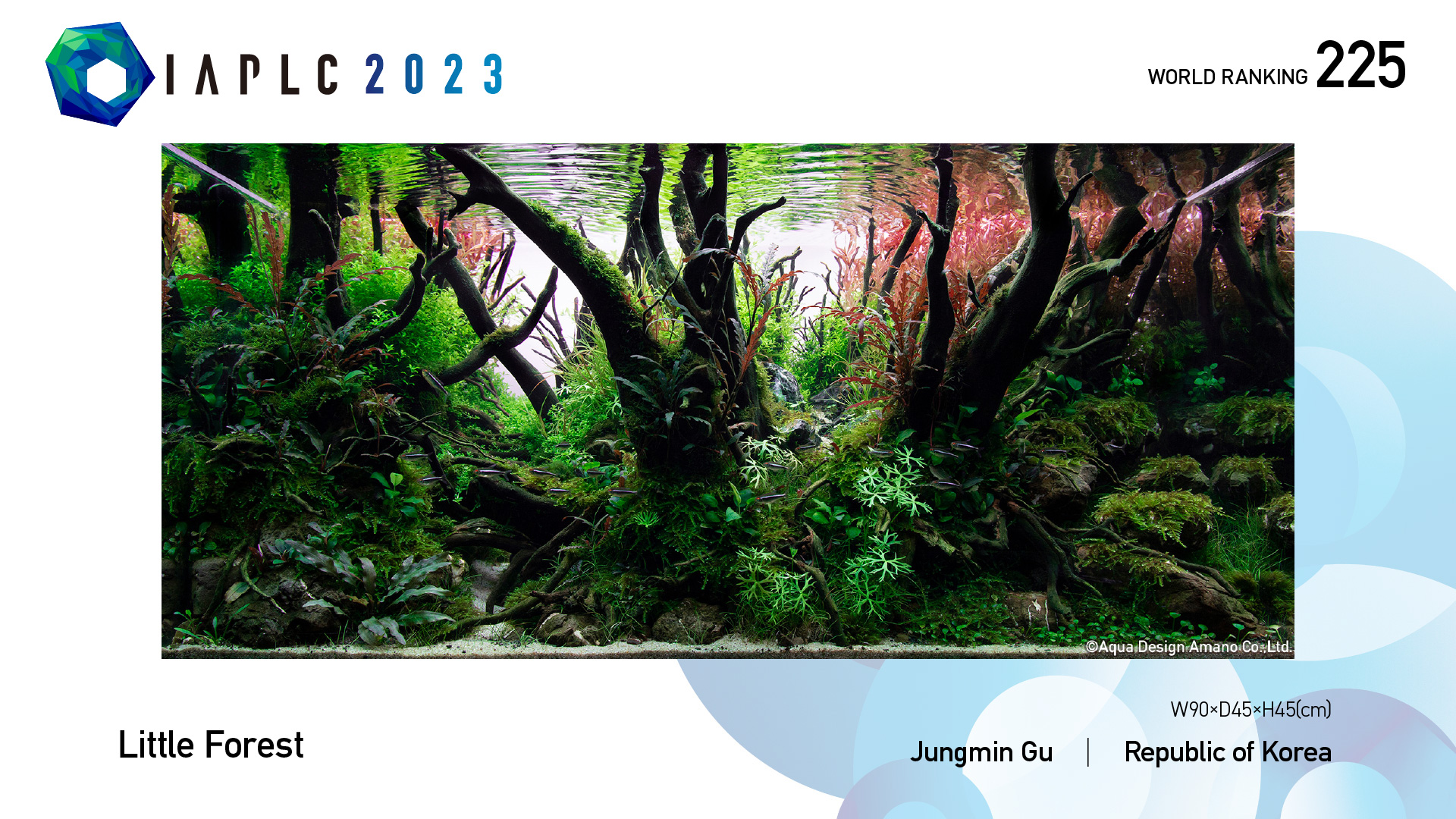 IAPLC - ONLINE APPLICATION