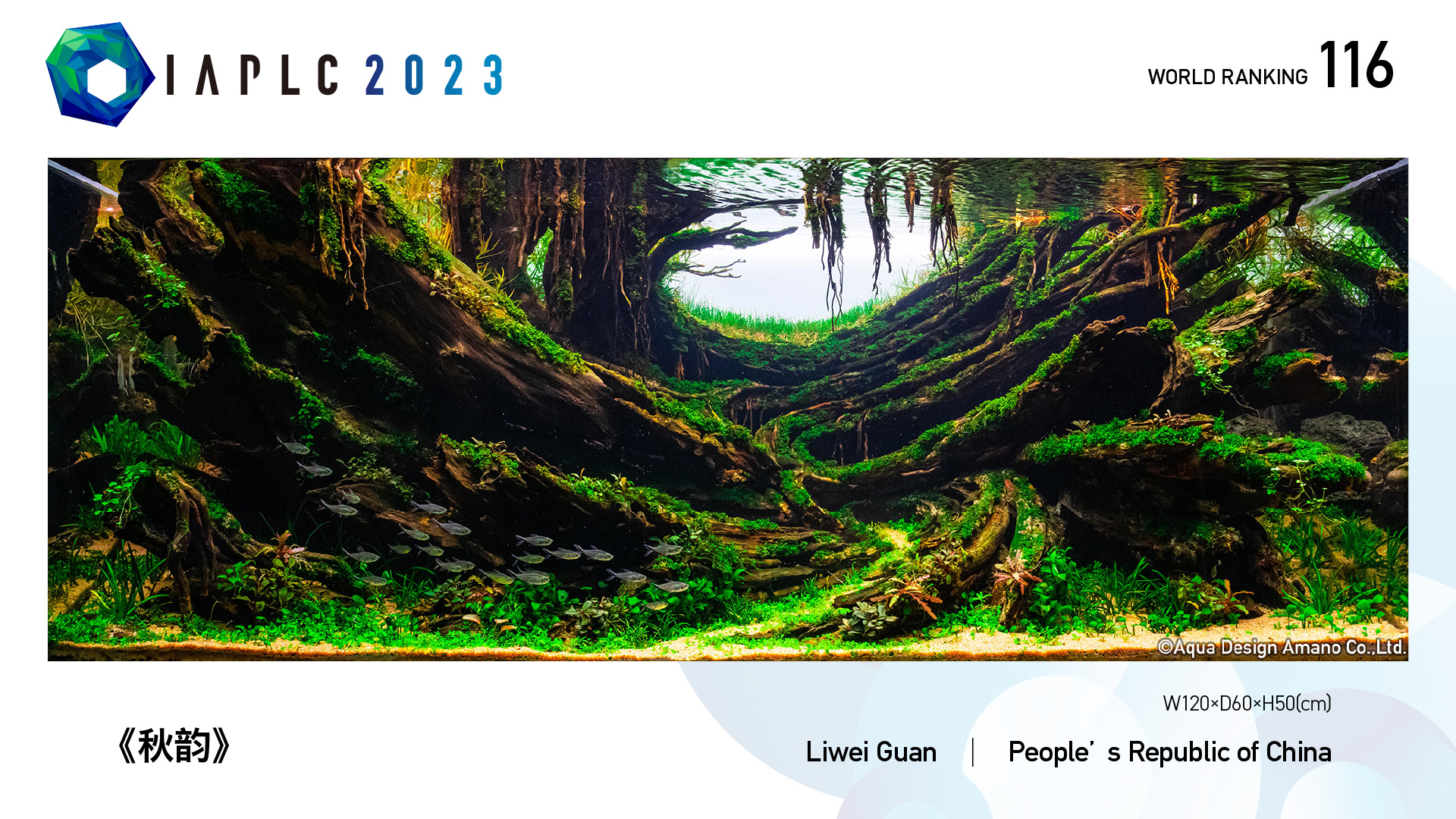 IAPLC - ONLINE APPLICATION