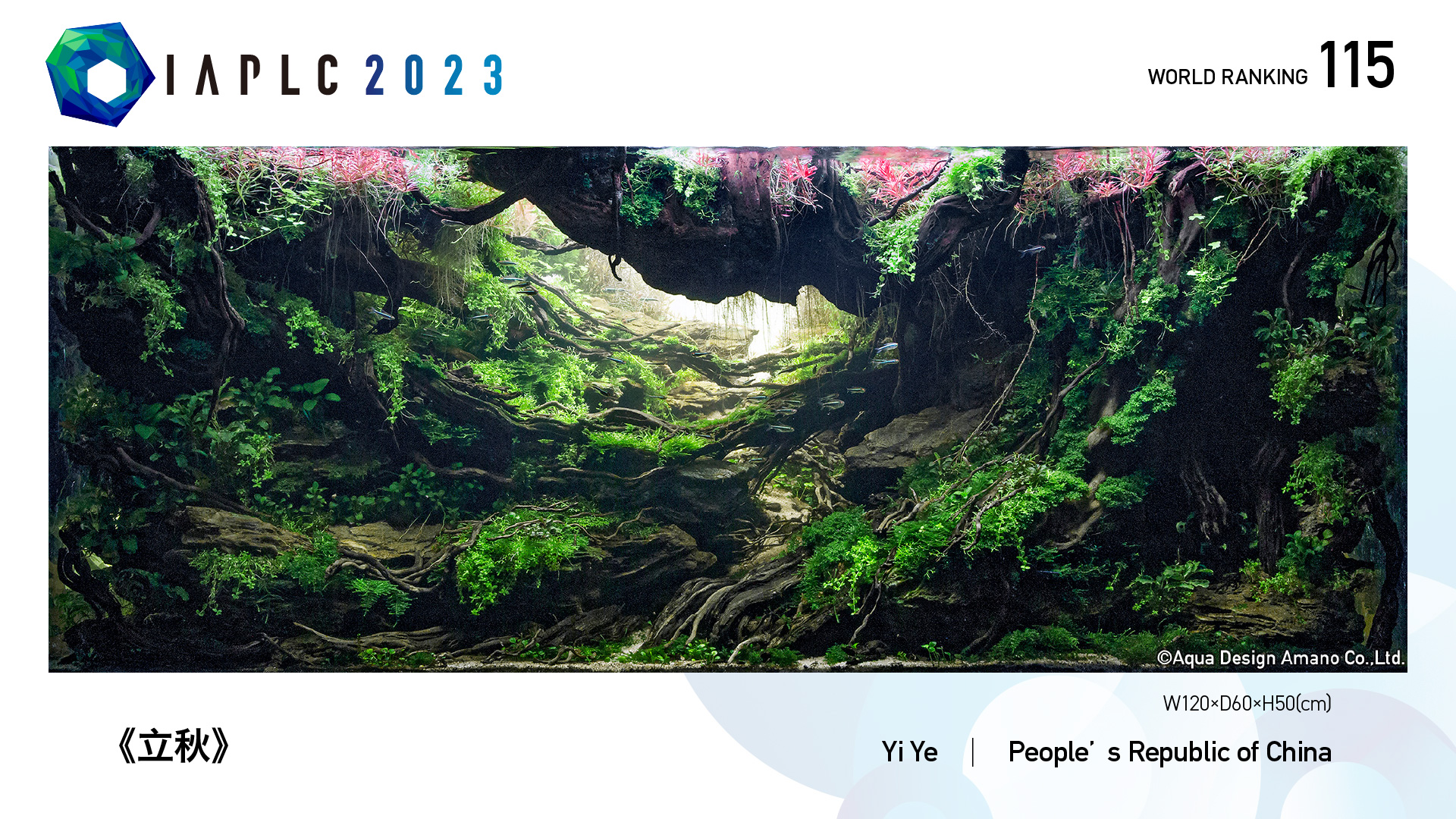 IAPLC - ONLINE APPLICATION