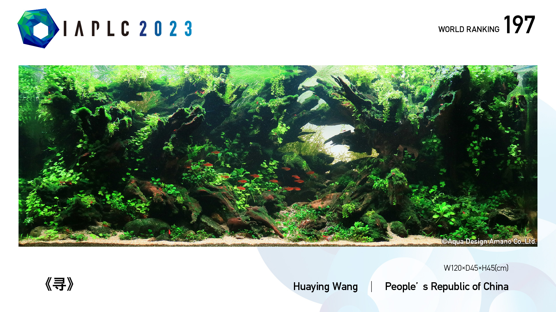 IAPLC - ONLINE APPLICATION