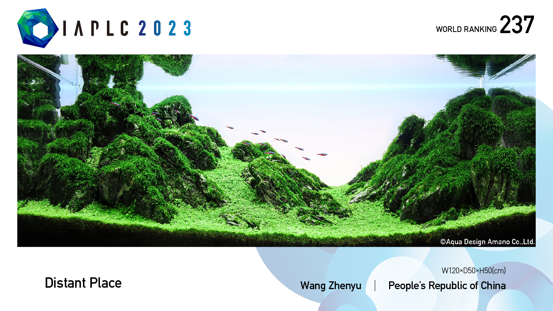 IAPLC - ONLINE APPLICATION