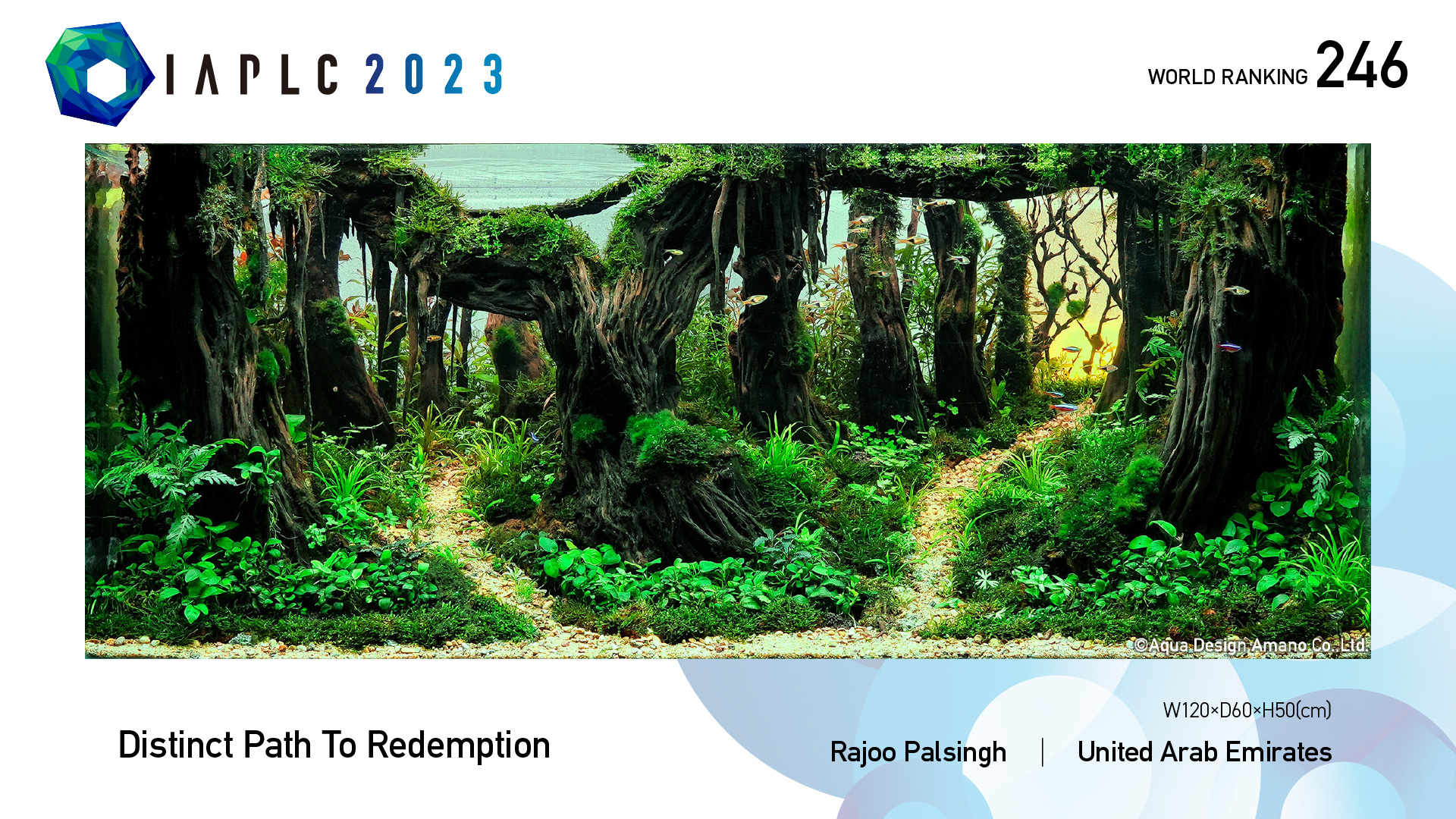 IAPLC - ONLINE APPLICATION