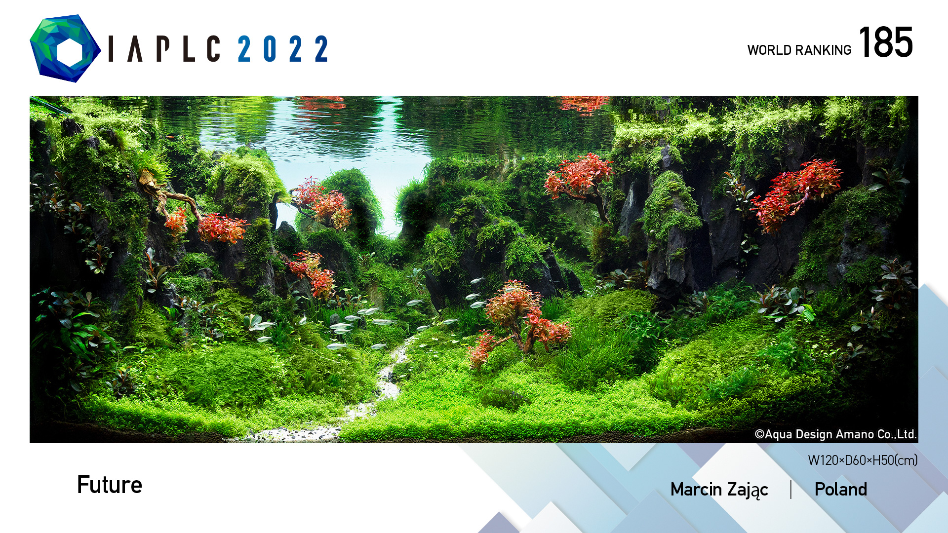 IAPLC - ONLINE APPLICATION