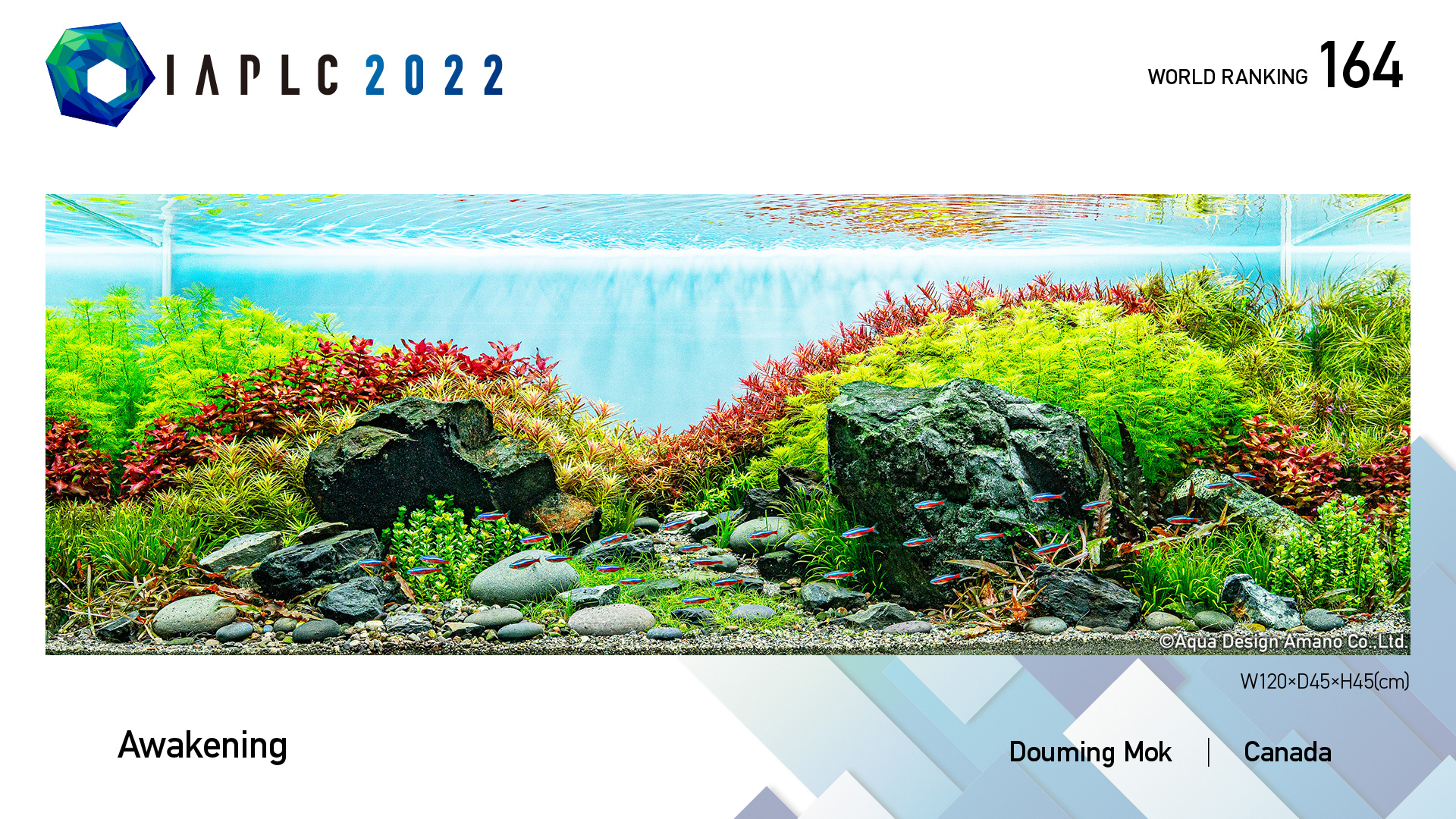 IAPLC - ONLINE APPLICATION