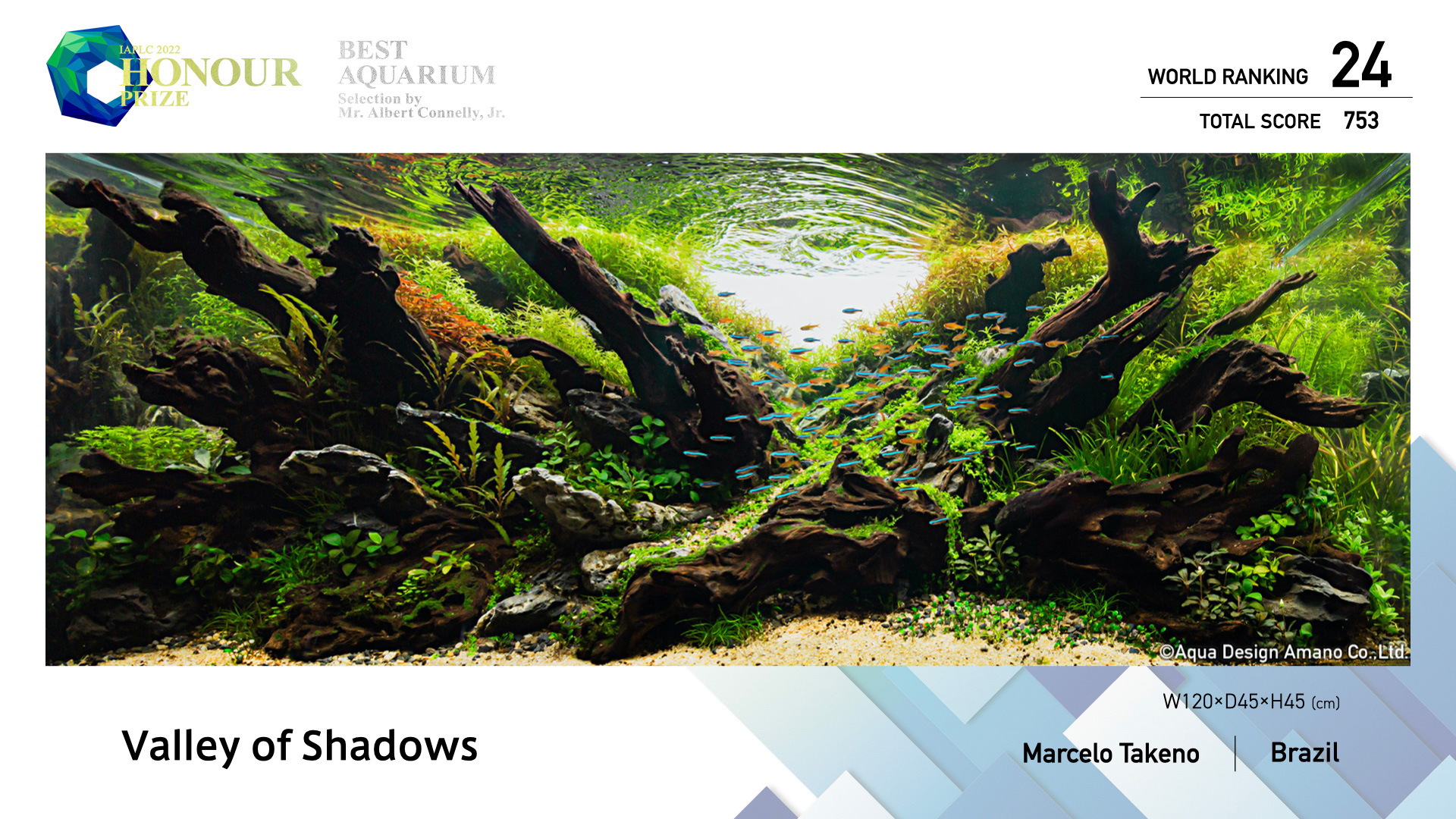 IAPLC - ONLINE APPLICATION