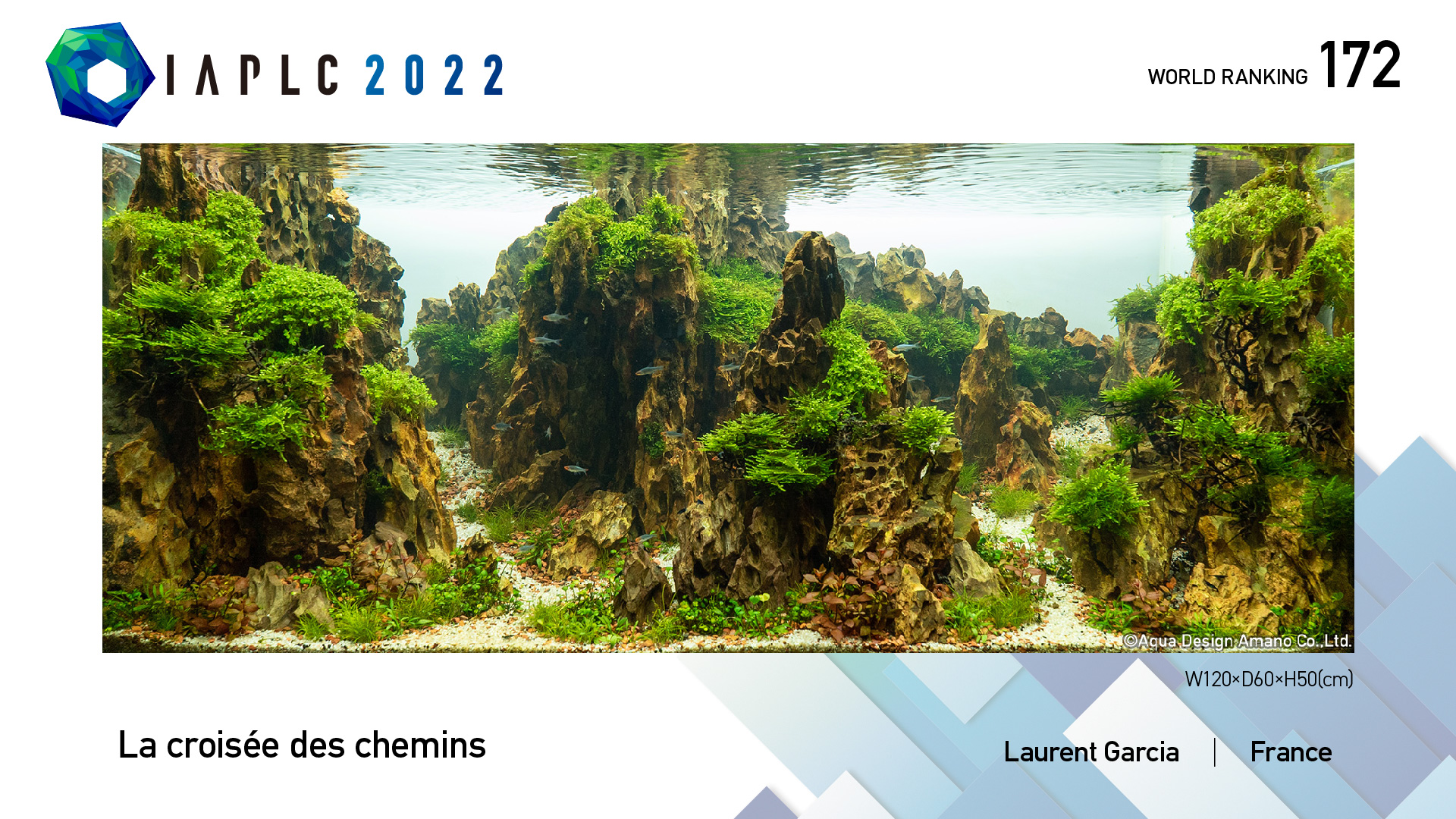 IAPLC - ONLINE APPLICATION