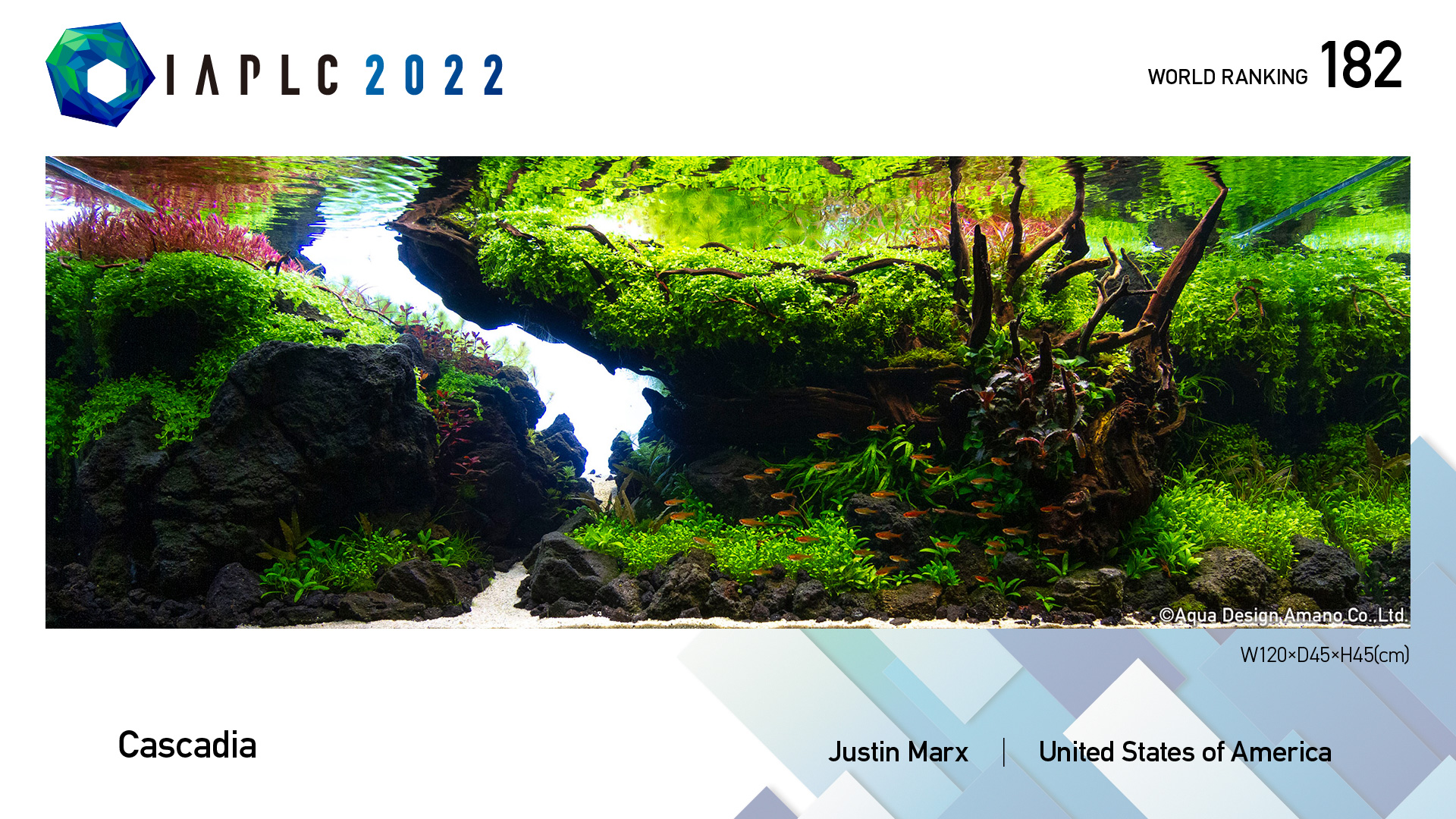 IAPLC - ONLINE APPLICATION