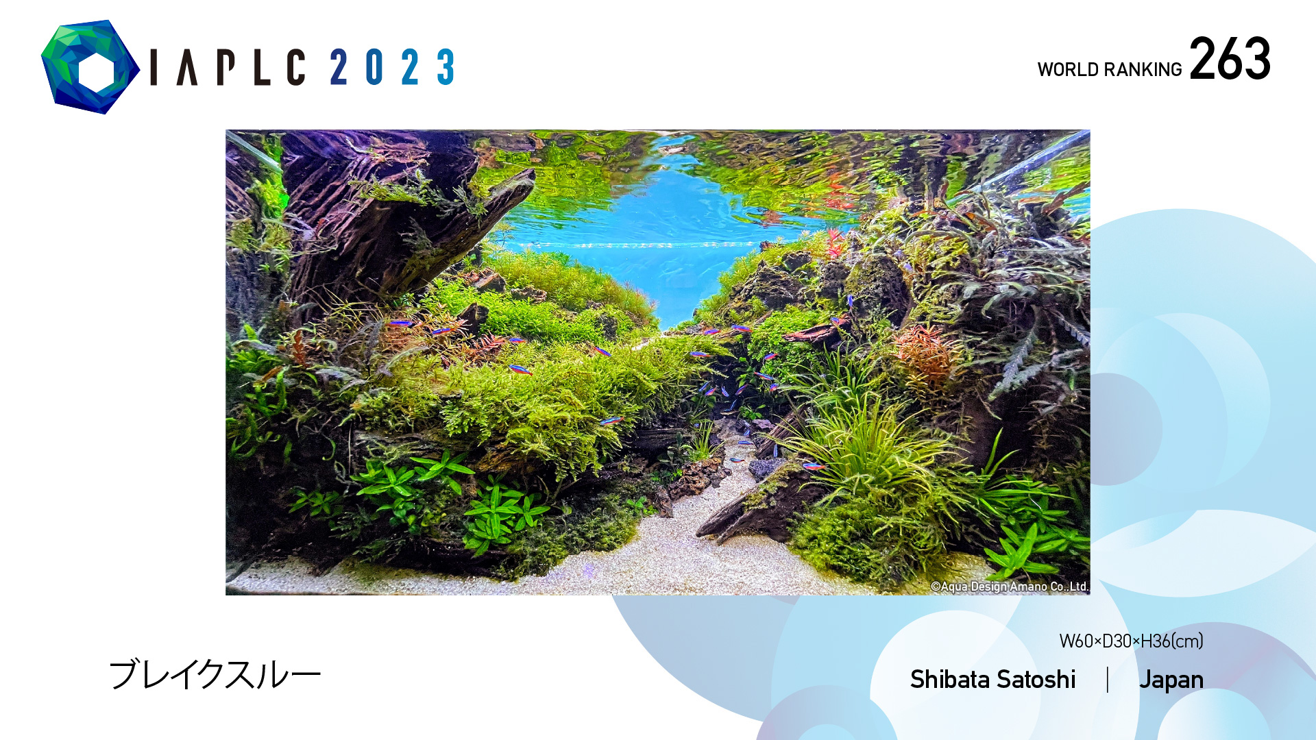 IAPLC - ONLINE APPLICATION