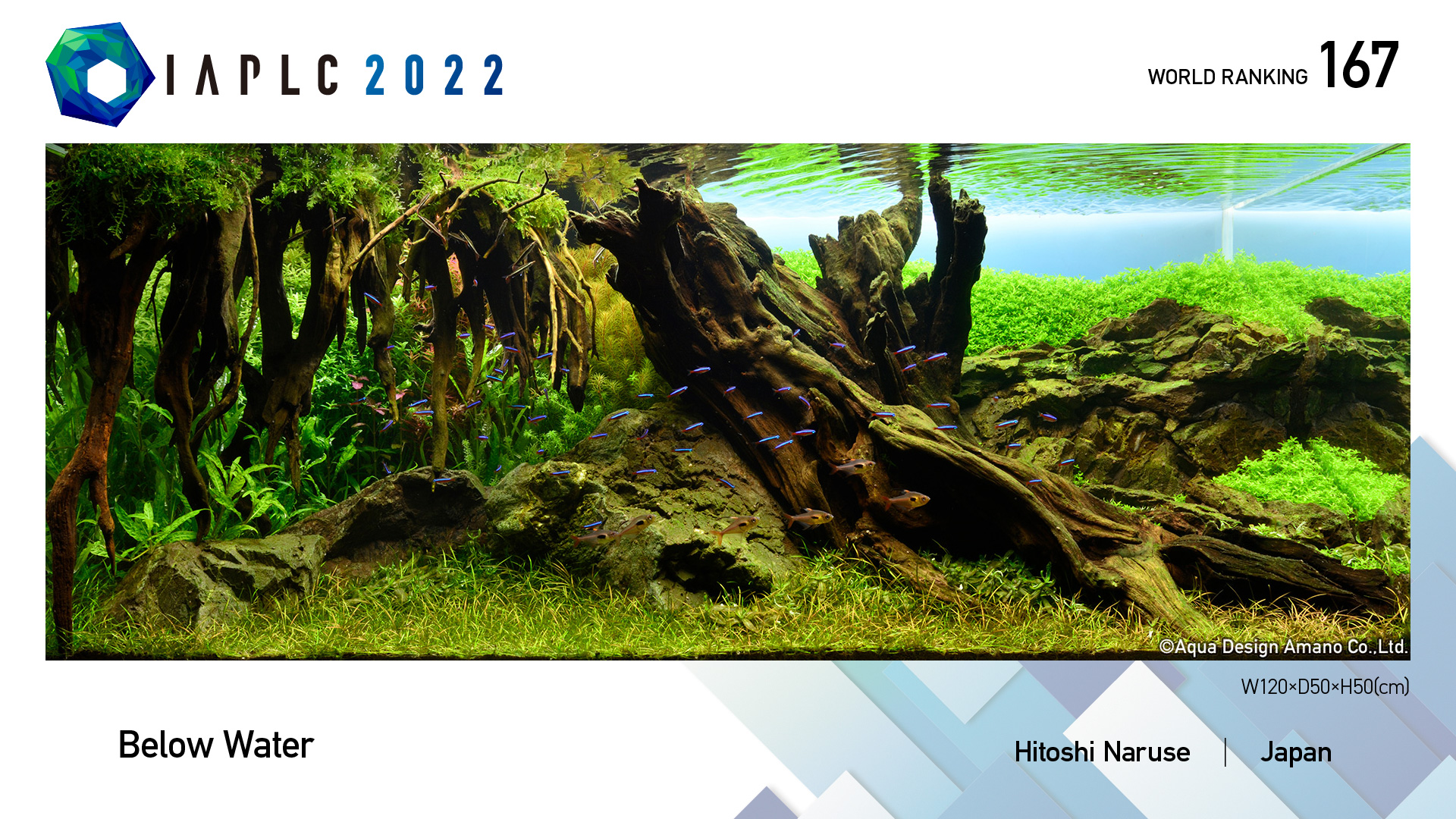 IAPLC - ONLINE APPLICATION