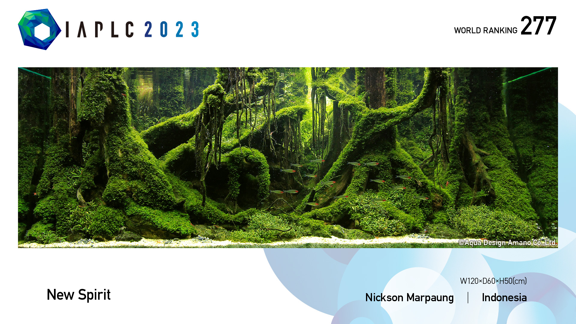 IAPLC - ONLINE APPLICATION