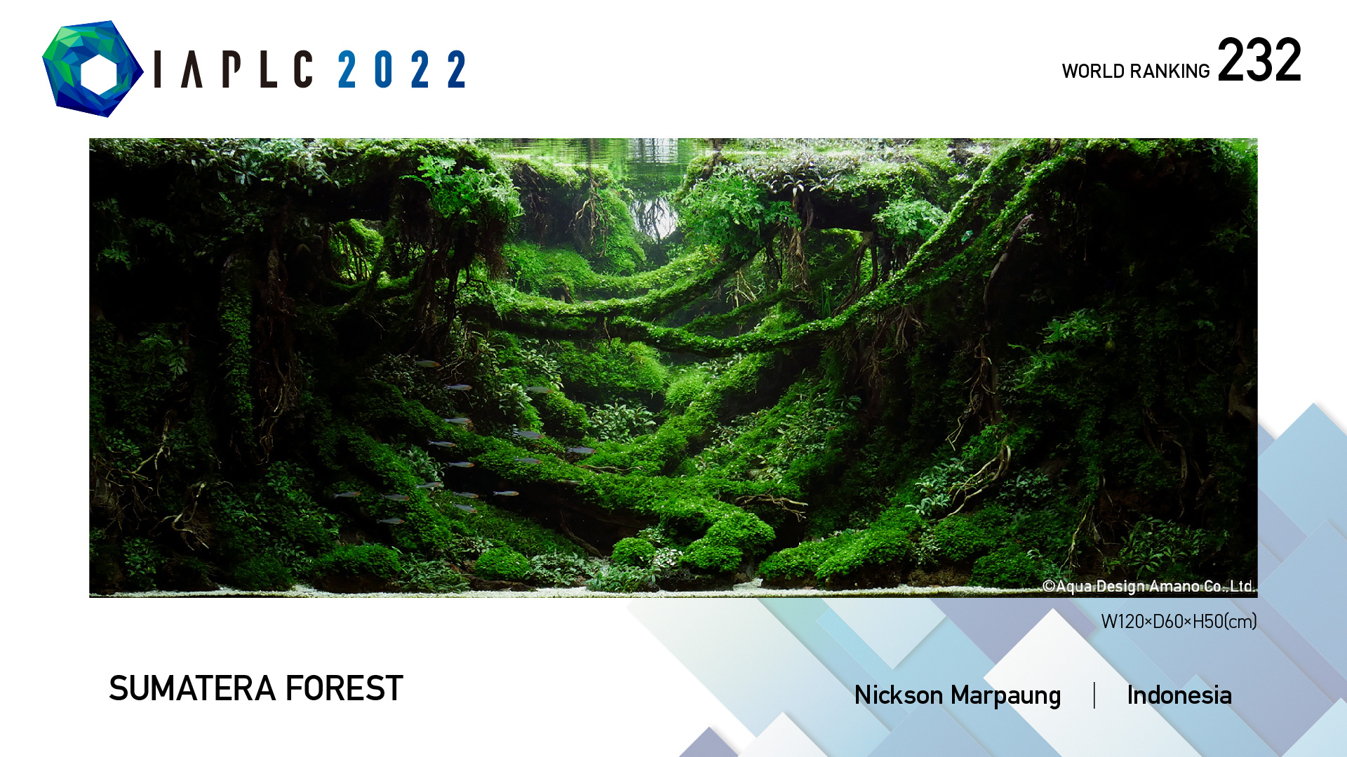 IAPLC - ONLINE APPLICATION